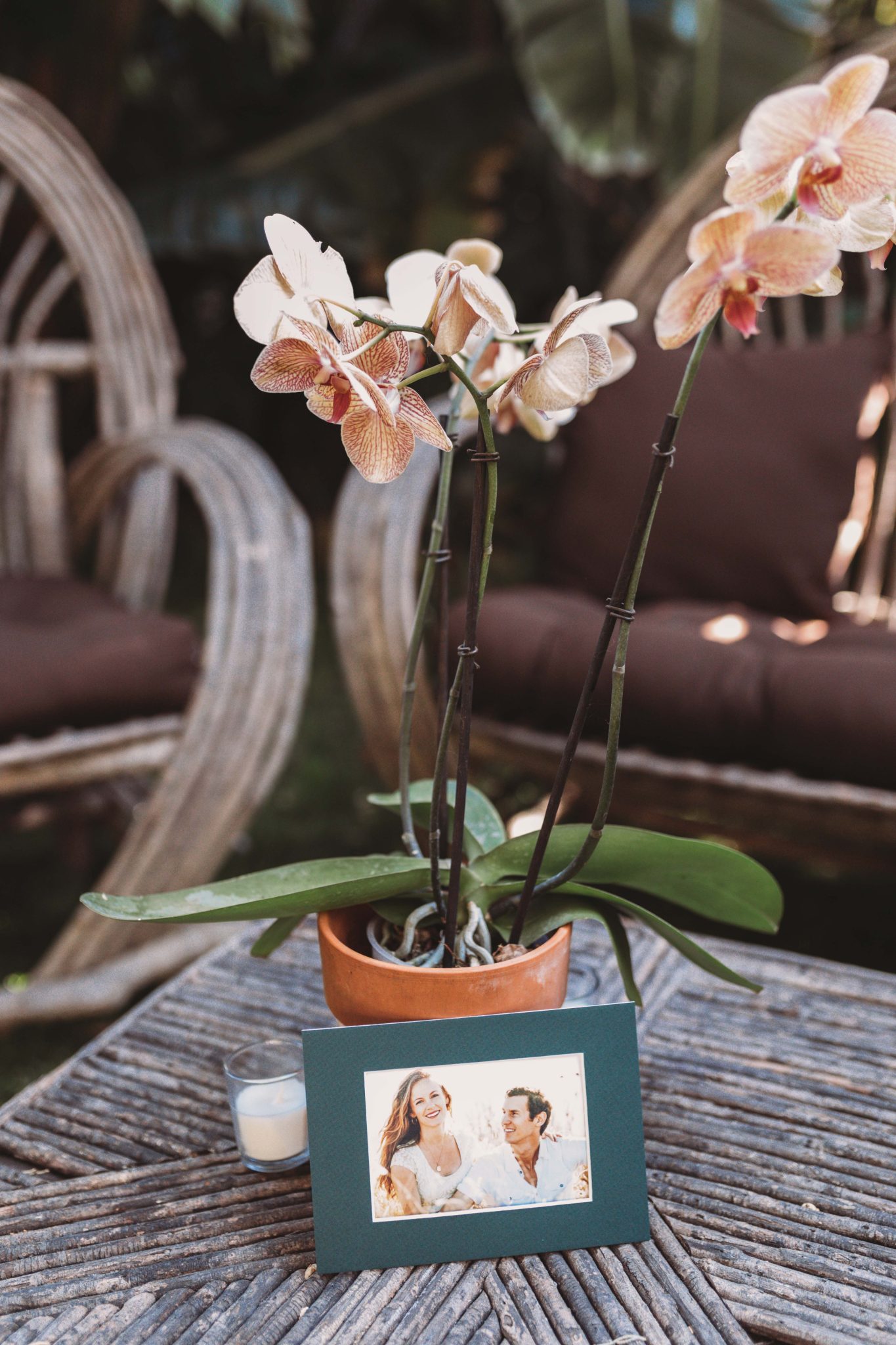 ERICA + TRISTAN – The Holly Farm